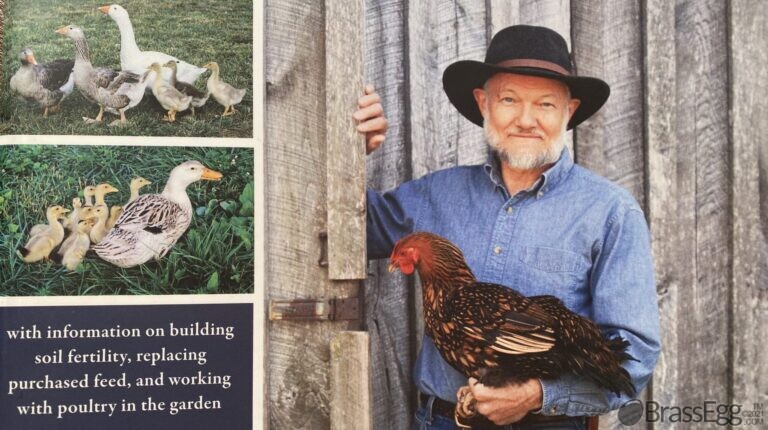 The Best Backyard Chicken Book - Brass Egg