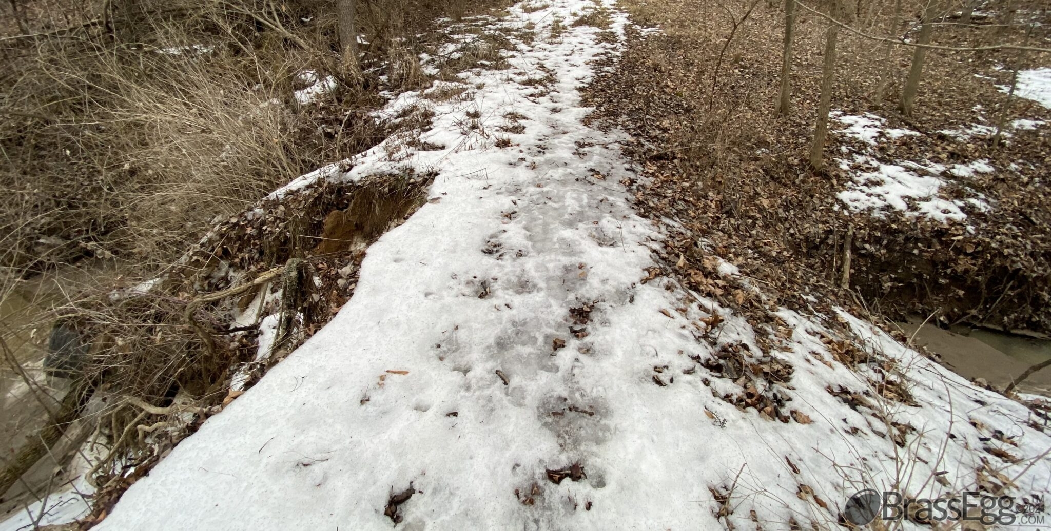 Erosion Problems: Can Willow Spiling Stop Erosion Sustainably and Long ...